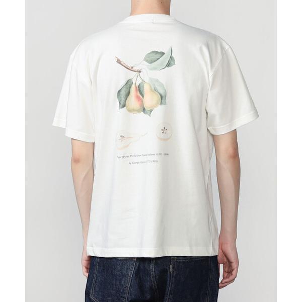 ZOZO問い合わせ番号:108891233ショップ:Bshop，ビショップブランド:Bshop，ビショップ商品名:History of Art | プリントTシャツ PEAR MENカテゴリ:トップス>Tシャツ/カットソーブランド品番...