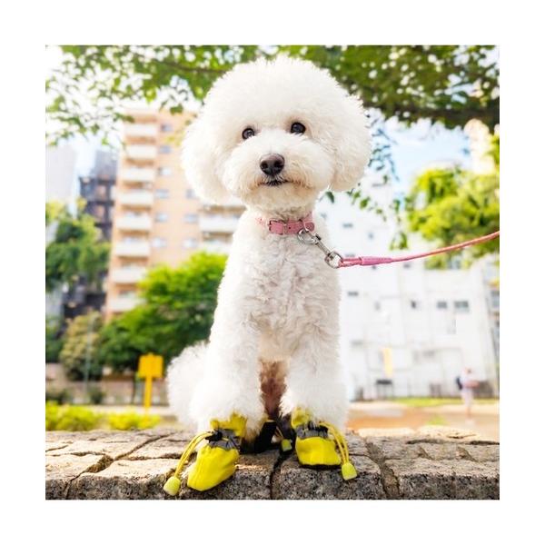 ※このアイテムは返品・交換対象外商品です。ZOZO問い合わせ番号:109087250ショップ:Port，ポートブランド:Port，ポート商品名:愛犬用ソフトソールシューズカテゴリ:ペットグッズ>ペットウェアブランド品番:BRFWA01...