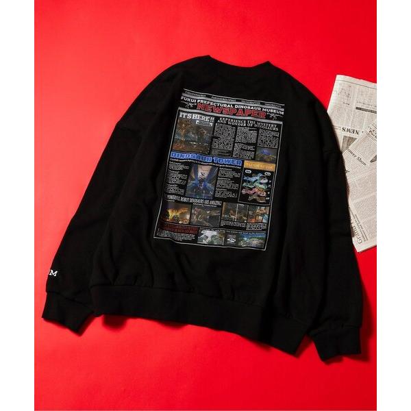 ZOZO問い合わせ番号:111351594ショップ:F.O.Online Store，エフオーオンラインストアブランド:BREEZE，ブリーズ商品名:福井県立恐竜博物館コラボ NEWSトレーナー(大人)カテゴリ:トップス>スウェットブ...
