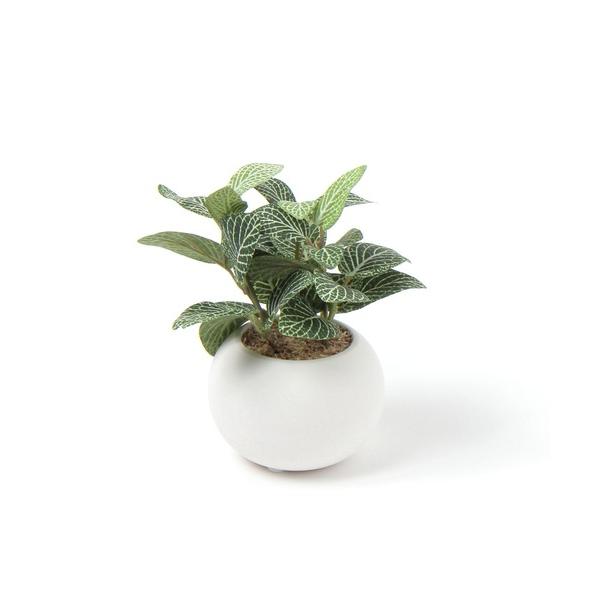 ZOZO問い合わせ番号:111684124ショップ:LAKOLE，ラコレブランド:LAKOLE，ラコレ商品名:フェイクグリーン素焼きポット / 769026カテゴリ:インテリア>インテリア雑貨ブランド品番:769026素材:【葉】PE...