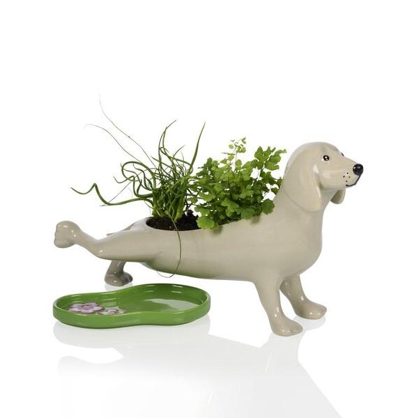 『タイムセール実施中』ZOZO問い合わせ番号:112651205ショップ:BIRTHDAY BAR，バースデイバーブランド:BIRTHDAY BAR，バースデイバー商品名:「BITTEN」ピーイングドッグ プランターカテゴリ:インテリア&g...