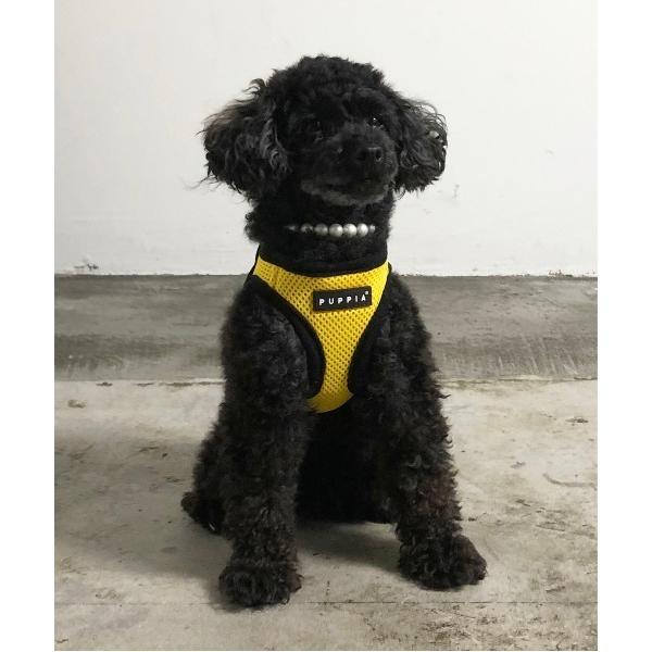 ※このアイテムは返品・交換対象外商品です。ZOZO問い合わせ番号:53599865ショップ:COMMON WARE，コモンウェアブランド:NEW JACK，ニュージャック，COMMON WARE，コモンウェアー商品名:PUPPIA:パピア ...