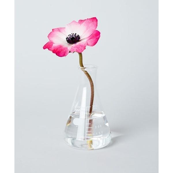 ZOZO問い合わせ番号:54335245ショップ:TODAY'S SPECIAL，トゥデイズスペシャルブランド:TODAY'S SPECIAL，トゥデイズスペシャル商品名:【HARIO】三角フラスコ 300ml /359672カテゴリ:イン...