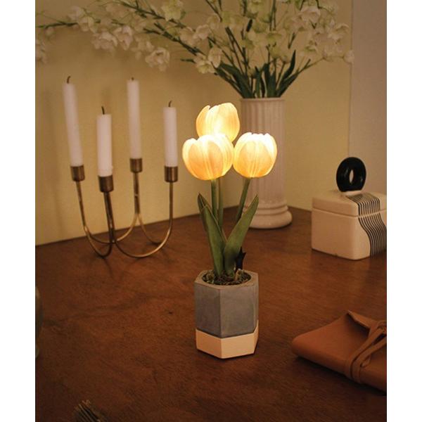 ZOZO問い合わせ番号:57107598ショップ:Global Forme Concrete，グローバルフォルムコンクリートブランド:GLOBAL FORME CONCRETE，グローバルフォルムコンクリート商品名:キューティーチューリップ...