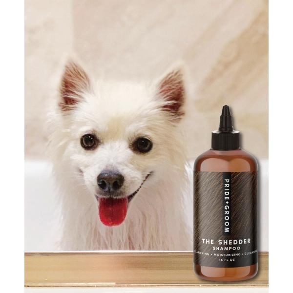 ※このアイテムは返品・交換対象外商品です。ZOZO問い合わせ番号:57250556ショップ:entre square，アントレスクエアブランド:entre square，アントレスクエアー商品名:PRIDE+GROOM プライドグルーム プ...