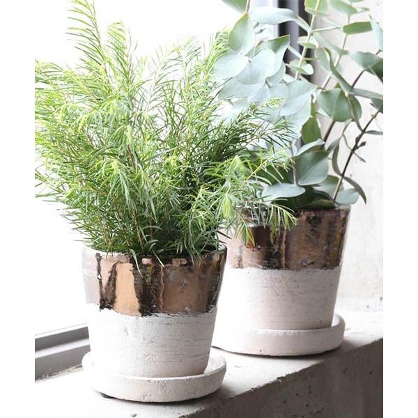 ZOZO問い合わせ番号:57362051ショップ:DULTON，ダルトンブランド:DULTON，ダルトン商品名:TERRACOTTA BICOLOR POT/4.5号 植木鉢カテゴリ:インテリア>フラワーベースブランド品番:G20-0...