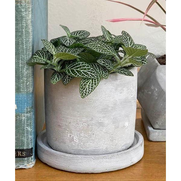 ZOZO問い合わせ番号:57398846ショップ:DULTON，ダルトンブランド:DULTON，ダルトン商品名:CEMENT POT ROUND S/3号 植木鉢カテゴリ:インテリア>フラワーベースブランド品番:G20-0219S素材...