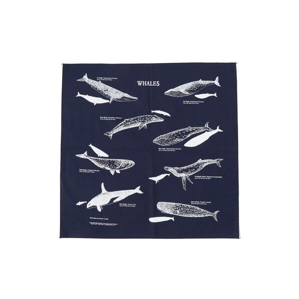 ZOZO問い合わせ番号:60734051ショップ:BEAMS MEN，ビームス メンブランド:bpr BEAMS，ビーピーアール ビームス 商品名:The Printed Image / BANDANAカテゴリ:財布/小物>バンダナ/...