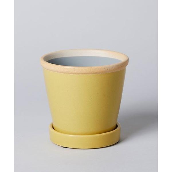 ZOZO問い合わせ番号:60839374ショップ:TODAY'S SPECIAL，トゥデイズスペシャルブランド:TODAY'S SPECIAL，トゥデイズスペシャル商品名:グロッシーポット 4号 ミモザカテゴリ:インテリア>フラワーベ...