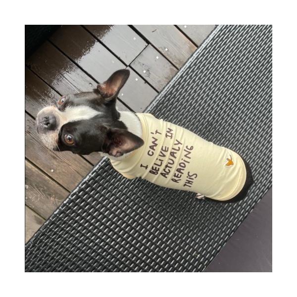 ※このアイテムは返品・交換対象外商品です。ZOZO問い合わせ番号:64367701ショップ:TONE，トーンブランド:tone，トーン商品名:【MAiTE by Mark Gonzales】Madeleine(MA)カテゴリ:ペットグッズ&...