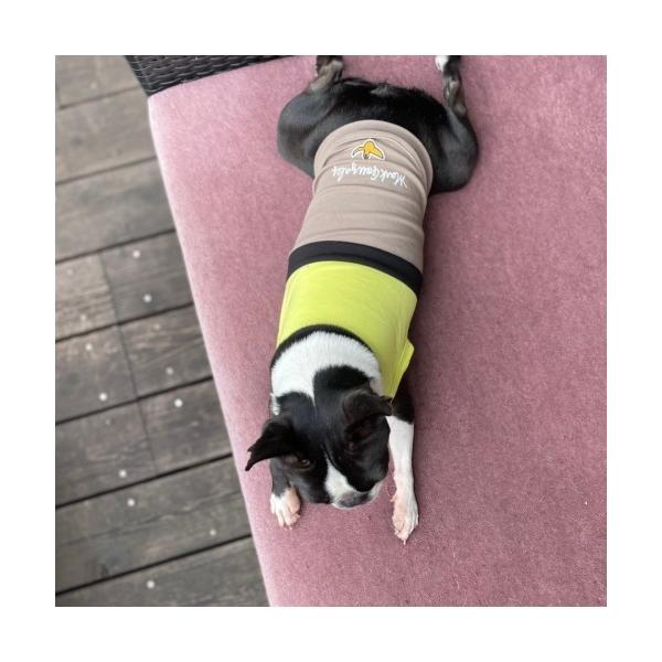 ※このアイテムは返品・交換対象外商品です。ZOZO問い合わせ番号:65752278ショップ:TONE，トーンブランド:tone，トーン商品名:【MAiTE by Mark Gonzales】Brigadeiro(MA)カテゴリ:ペットグッズ...