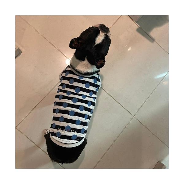 ※このアイテムは返品・交換対象外商品です。ZOZO問い合わせ番号:65752284ショップ:TONE，トーンブランド:tone，トーン商品名:【MAiTE by Mark Gonzales】Whipped cream(MA)カテゴリ:ペット...