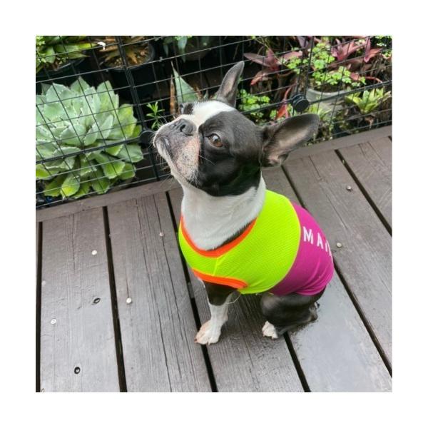 ※このアイテムは返品・交換対象外商品です。ZOZO問い合わせ番号:65752295ショップ:TONE，トーンブランド:tone，トーン商品名:【MAiTE by Mark Gonzales】Cup Cake(MA)カテゴリ:ペットグッズ&g...