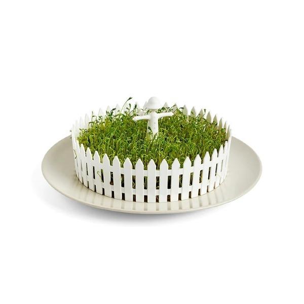 ZOZO問い合わせ番号:66515240ショップ:entre square，アントレスクエアブランド:PELEGDESIGN，ペレグデザイン商品名:Peleg Desing/シードフィールド プランターカテゴリ:食器/キッチン>キッチ...