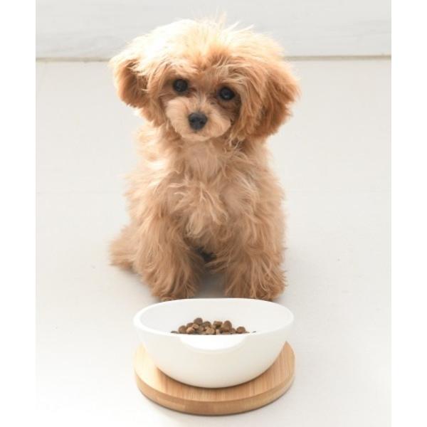 『タイムセール実施中』※このアイテムは返品・交換対象外商品です。ZOZO問い合わせ番号:67498853ショップ:good times +，グッドタイムズプラスブランド:PET'S CLOSET 〜Dog＆Cat〜，ペットクローゼット商品名...