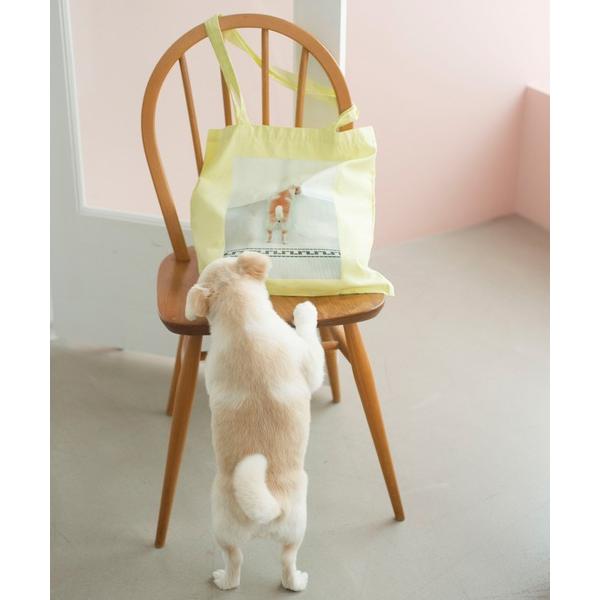 『タイムセール実施中』ZOZO問い合わせ番号:69409934ショップ:ROPE' PICNIC，ロぺピクニックブランド:ROPE' PICNIC，ロペピクニック商品名:【WEB限定】おもちくん×ROPE' PICNIC/Photoプリント...