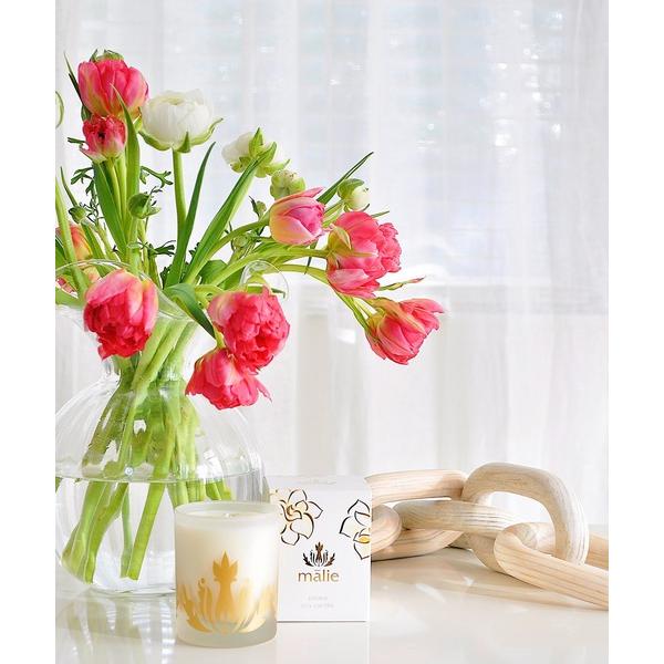 ZOZO問い合わせ番号:69546150ショップ:Koala Kicks，コアラキックスブランド:Malie Organics，マリエ オーガニクス商品名:Soy Candle Pikake (ソイキャンドルピカケ)カテゴリ:インテリア&g...