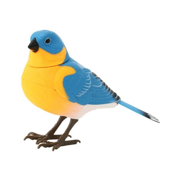 ZOZO問い合わせ番号:73452021ショップ:Francfranc，フランフランブランド:Francfranc，フランフラン商品名:人感ミュージックバード クリップ ブルーカテゴリ:雑貨/ホビー>おもちゃブランド品番:110313...