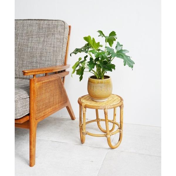 ZOZO問い合わせ番号:73965568ショップ:JOURNAL STANDARD，ジャーナルスタンダードブランド:ACME FURNITURE，アクメファニチャー商品名:【Creer/クレエ】ラタンプランタースタンドカテゴリ:インテリア&...