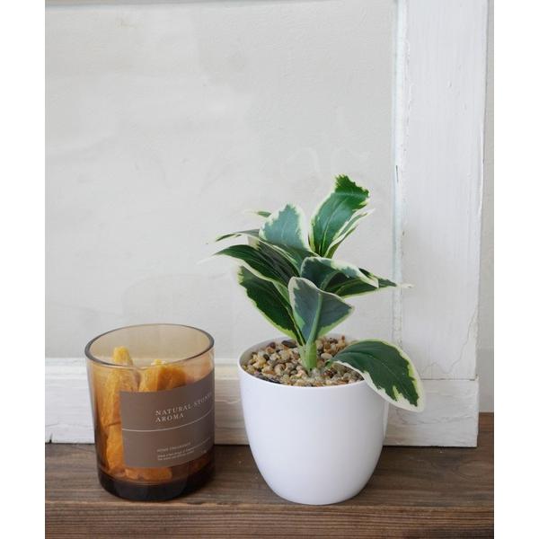 『タイムセール実施中』ZOZO問い合わせ番号:74573031ショップ:Port，ポートブランド:Port，ポート商品名:フェイクグリーン / プランター / 観葉植物 / 造花 / 鉢植え ＃カテゴリ:インテリア>インテリア雑貨ブラ...