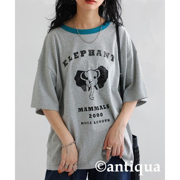 『タイムセール実施中』ZOZO問い合わせ番号:74743808ショップ:antiqua，アンティカブランド:antiqua，アンティカ商品名:アニマルカレッジTシャツカテゴリ:トップス>Tシャツ/カットソーブランド品番:AMA-000...