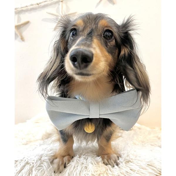 『セール実施中』※このアイテムは返品・交換対象外商品です。ZOZO問い合わせ番号:75390358ショップ:Sweet Mommy，スウィートマミーブランド:ONEKOSAMA OINUSAMA，オネコサマ商品名:ビッグリボン　カラー　首輪...