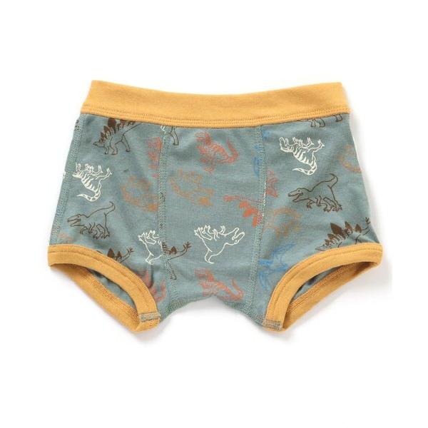 ※このアイテムは返品・交換対象外商品です。ZOZO問い合わせ番号:75755785ショップ:F.O.Online Store，エフオーオンラインストアブランド:BREEZE，ブリーズ商品名:ジャンクフード＆恐竜柄ボクサーパンツカテゴリ:アン...