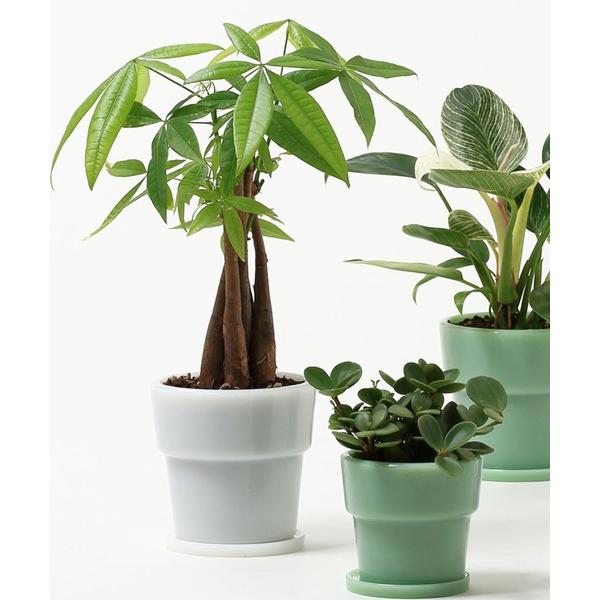 ZOZO問い合わせ番号:77049983ショップ:HIGHTIDE，ハイタイドブランド:HIGHTIDE，ハイタイド，Detail，ディテール商品名:ideaco イデアコ ミルクガラスプランター ポット ラウンド 4号 植木鉢カテゴリ:イ...