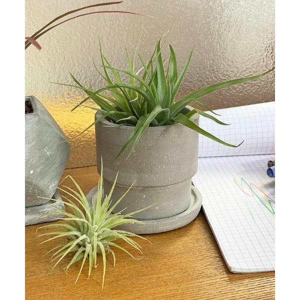 ZOZO問い合わせ番号:77773220ショップ:DULTON，ダルトンブランド:DULTON，ダルトン商品名:CEMENT POT ROUND XS/3号 植木鉢カテゴリ:インテリア>フラワーベースブランド品番:G20-0220XS...