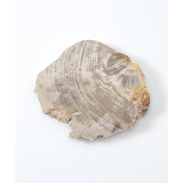 ZOZO問い合わせ番号:78534992ショップ:JOURNAL STANDARD，ジャーナルスタンダードブランド:journal standard Furniture ，ジャーナルスタンダードファニチャー商品名:PETRIFIED WOO...