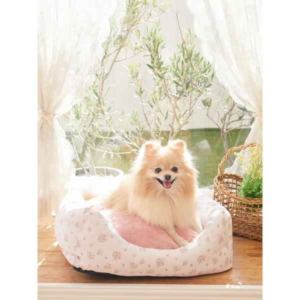 『タイムセール実施中』※このアイテムは返品・交換対象外商品です。ZOZO問い合わせ番号:81001879ショップ:Maison de FLEUR，メゾン ド フルールブランド:Maison de FLEUR，メゾンドフルール商品名:オリジナ...