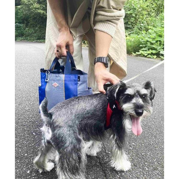 ※このアイテムは返品・交換対象外商品です。ZOZO問い合わせ番号:82641654ショップ:ROOTOTE，ルートートブランド:ROOTOTE，ルートート商品名:ルートート/SN.スクエア.DOG.BUDDY-Bカテゴリ:ペットグッズ&gt...