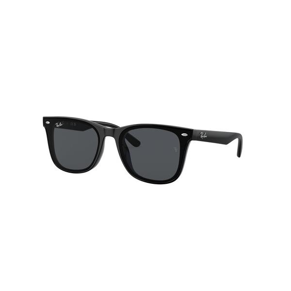 ZOZO問い合わせ番号:82849035ショップ:Ray-Ban，レイバンブランド:Ray-Ban，レイバン商品名:【ZOZOTOWN】人気 No.2 Ray-Ban レイバン サングラス 0RB4391D (アジアンデザインモデル・ローブ...