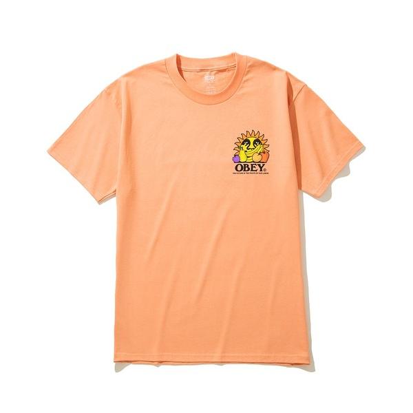 『タイムセール実施中』ZOZO問い合わせ番号:83396840ショップ:Kinetics，キネティクスブランド:OBEY，オベイ商品名:OBEY THE FUTURE IS THE FRUITS OF OUR LABOR（オベイ ザ フュー...