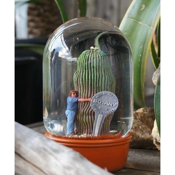 ZOZO問い合わせ番号:85973978ショップ:DULTON，ダルトンブランド:DULTON，ダルトン商品名:PLANTS WATER GLOBE CACTUS WITH MAN/ プランツ ウォーター グローブ カクタス ウィズ メンカ...