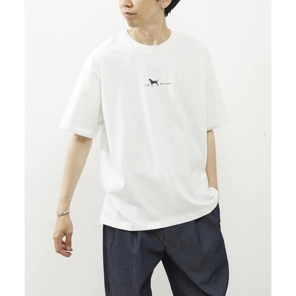 『セール実施中』ZOZO問い合わせ番号:86181892ショップ:MEN'S MELROSE，メンズ メルローズブランド:MASTER FRAME，マスターフレーム 商品名:【MASTER FRAME/マスターフレーム】ラブラドールレトリバ...