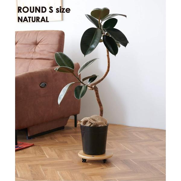 ZOZO問い合わせ番号:86244762ショップ:JOURNAL STANDARD，ジャーナルスタンダードブランド:journal standard Furniture ，ジャーナルスタンダードファニチャー商品名:JSF PLANT CAD...