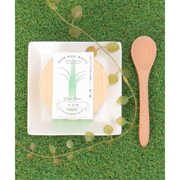 ZOZO問い合わせ番号:87275607ショップ:Lbc with Life，エルビーシー ウィズライフブランド:LBC，エルビーシー商品名:WAPPA 和っ葉栽培セットカテゴリ:インテリア>フラワーベースブランド品番:3081058...