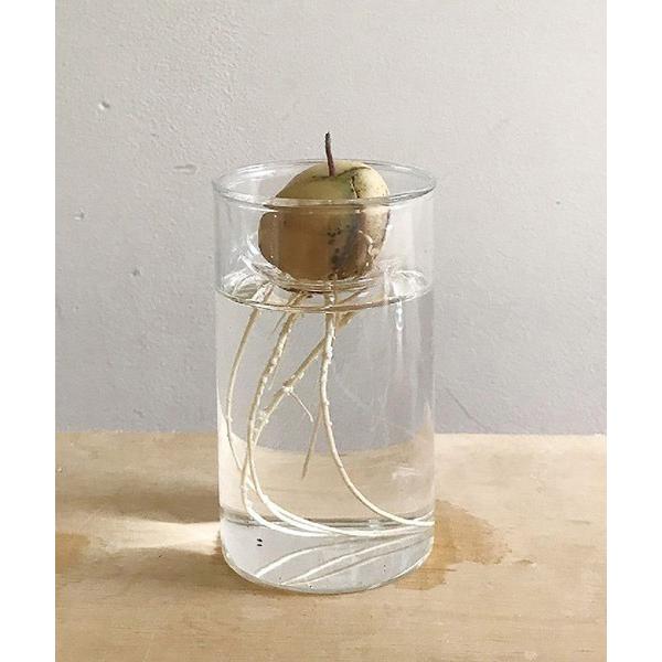 ZOZO問い合わせ番号:87712269ショップ:GEORGE'S，ジョージズブランド:GEORGE'S，ジョージズ商品名:ミニバルブベース ミニ クリアカテゴリ:インテリア>フラワーベースブランド品番:368732素材:ガラスカラー...