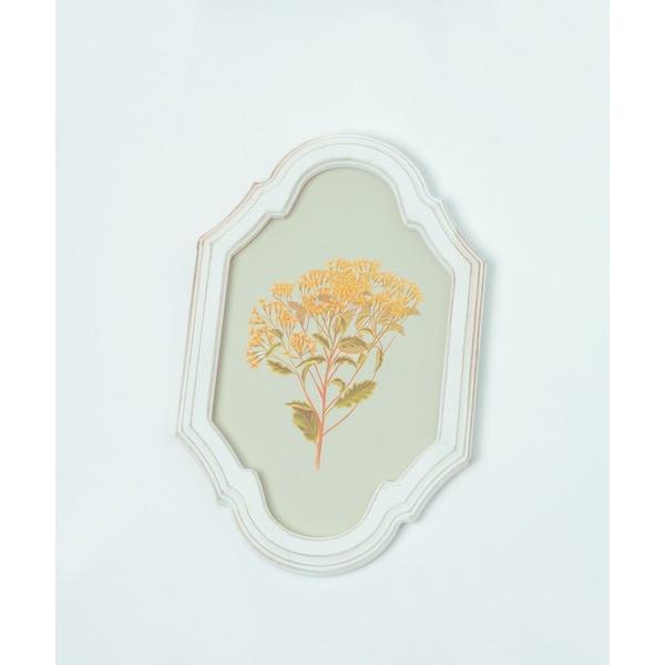 ZOZO問い合わせ番号:88772183ショップ:studio CLIP，スタディオクリップブランド:studio CLIP，スタディオクリップ商品名:【daily CLIP】クラシックフレームＭカテゴリ:インテリア>フォトフレームブ...