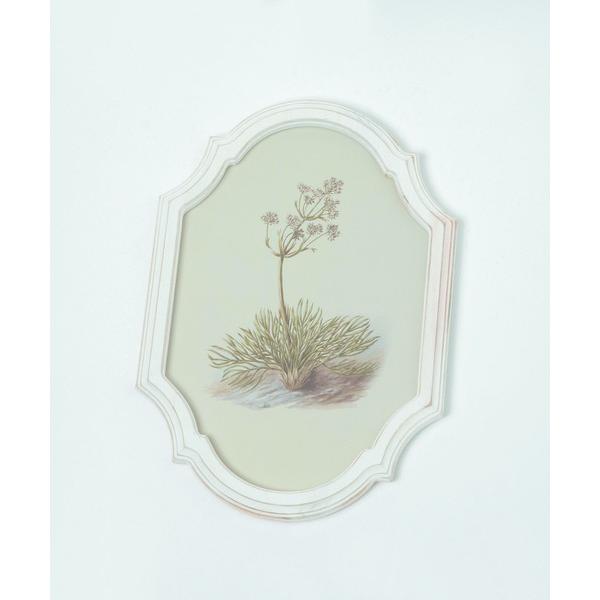 ZOZO問い合わせ番号:88772193ショップ:studio CLIP，スタディオクリップブランド:studio CLIP，スタディオクリップ商品名:【daily CLIP】クラシックフレームＬカテゴリ:インテリア>フォトフレームブ...