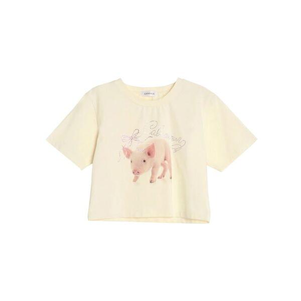 『セール実施中』ZOZO問い合わせ番号:89106821ショップ:Now me.，ナウミーブランド:CALNAMUR，カルナムール，Now me. by NYLON JAPAN，ナウミーバイナイロンジャパン商品名:PIGLET RIBBON...