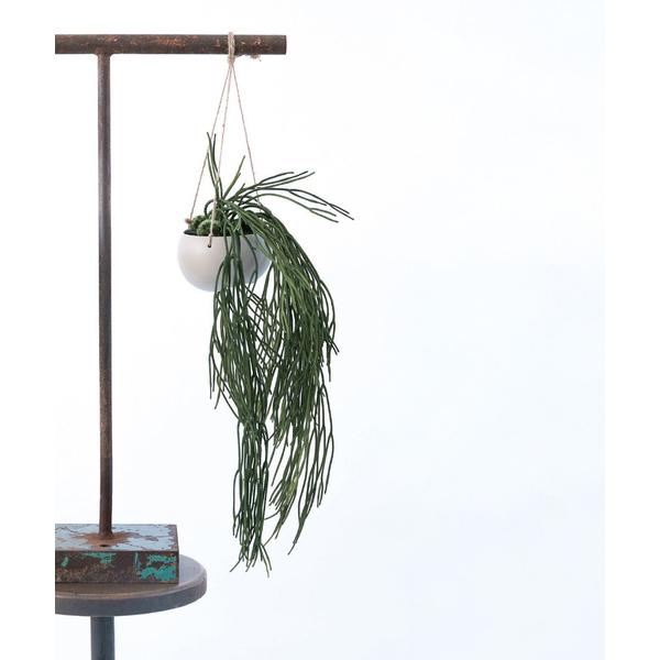 ZOZO問い合わせ番号:89994740ショップ:JOURNAL STANDARD，ジャーナルスタンダードブランド:journal standard Furniture ，ジャーナルスタンダードファニチャー商品名:【Brown./ブラウン】...