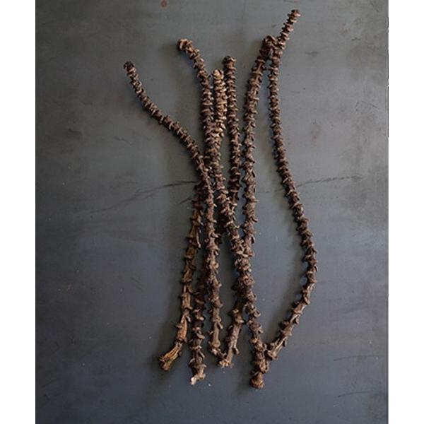 ZOZO問い合わせ番号:90124255ショップ:Global Forme Concrete，グローバルフォルムコンクリートブランド:HUNT9，ハントナイン商品名:CASTO BANANA STEMカテゴリ:インテリア>インテリア雑...