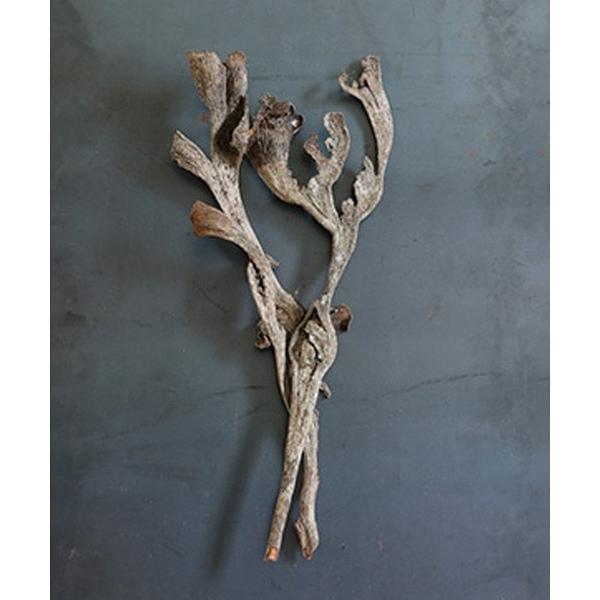 ZOZO問い合わせ番号:90124258ショップ:Global Forme Concrete，グローバルフォルムコンクリートブランド:HUNT9，ハントナイン商品名:CASTO NATRAJカテゴリ:インテリア>インテリア雑貨ブランド...