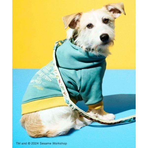 ※このアイテムは返品・交換対象外商品です。ZOZO問い合わせ番号:90288688ショップ:SESAME STREET MARKET，セサミストリートマーケットブランド:SESAME STREET，セサミストリート商品名:【DOG】HELL...