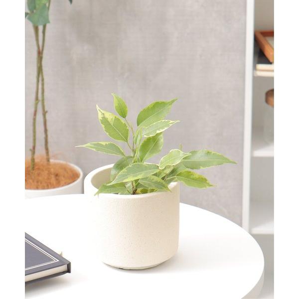 『セール実施中』ZOZO問い合わせ番号:90889036ショップ:notch.，ノッチブランド:notch.，ノッチ商品名:モノクロームポット Sカテゴリ:インテリア>フラワーベースブランド品番:73920032原産国:中国カラー:ホ...