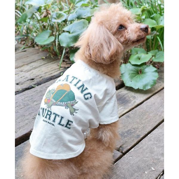 『タイムセール実施中』※このアイテムは返品・交換対象外商品です。ZOZO問い合わせ番号:91780668ショップ:KRIFF MAYER，クリフメイヤーブランド:KRIFF MAYER，クリフメイヤー商品名:ウェットプロテクトT(タートル)...