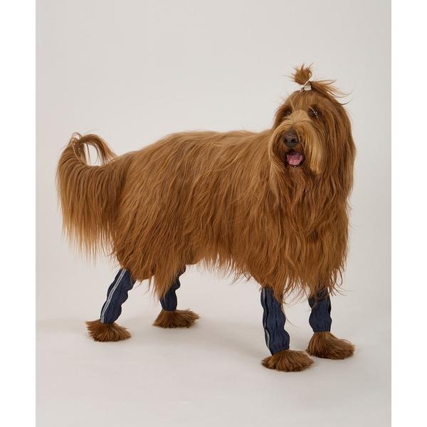 ※このアイテムは返品・交換対象外商品です。ZOZO問い合わせ番号:91945801ショップ:MANDARINE BROTHERS，マンダリンブラザーズブランド:MANDARINE BROTHERS，マンダリンブラザーズ商品名:レインレッグカ...