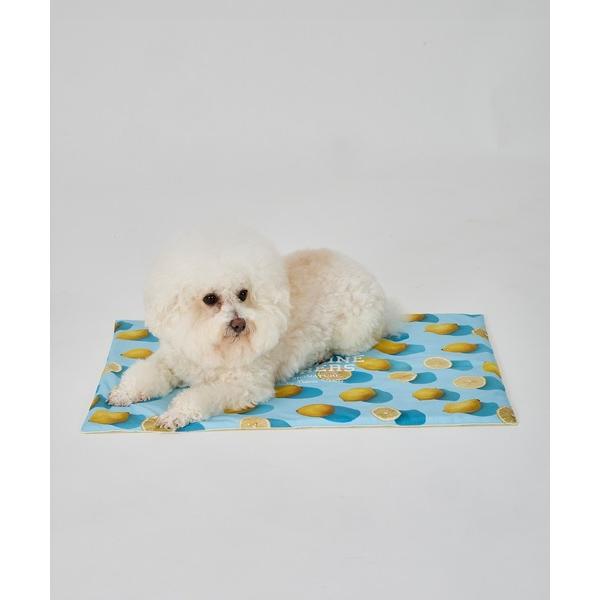 『タイムセール実施中』※このアイテムは返品・交換対象外商品です。ZOZO問い合わせ番号:91945807ショップ:MANDARINE BROTHERS，マンダリンブラザーズブランド:MANDARINE BROTHERS，マンダリンブラザーズ...